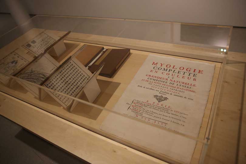 ‘Magnificent Obsessions’, magnificent show | Apollo Magazine