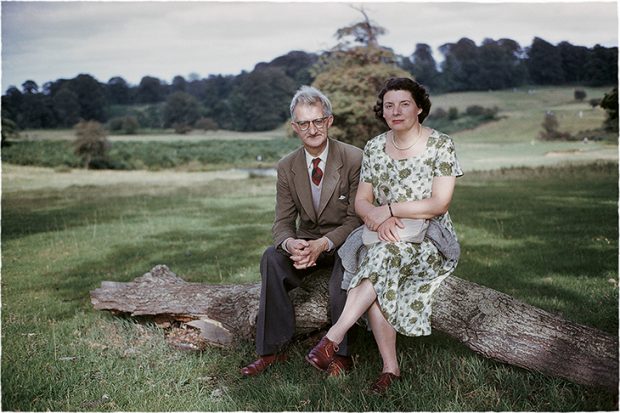 The lost world of family slides | Apollo Magazine