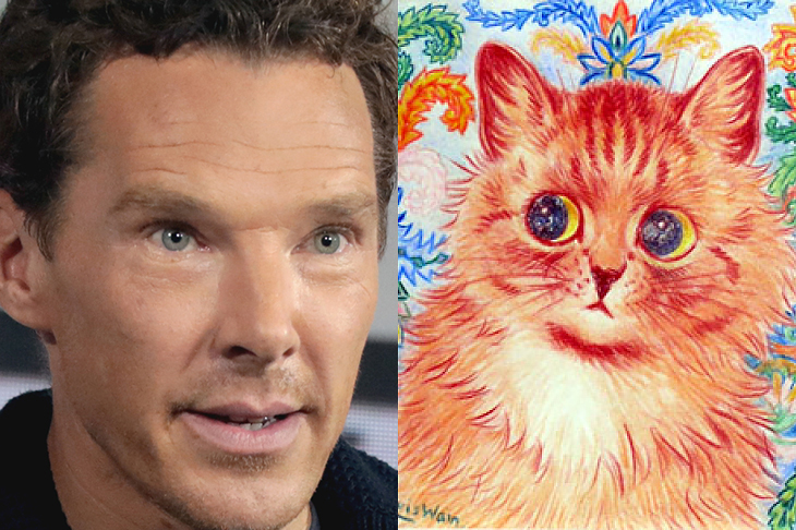Cumberbatch the cat artist brings London to a standstill (sort of ...