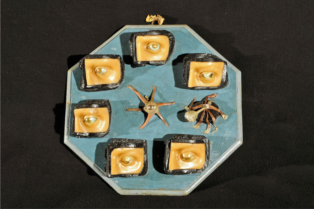 How Bologna pioneered the art of anatomical wax modelling - Apollo Magazine