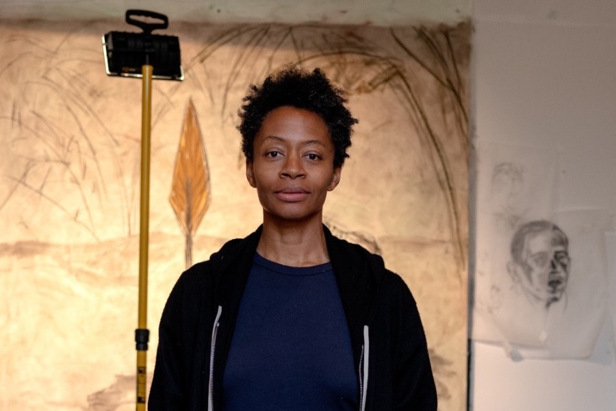 Kara Walker: A Black Hole is Everything a Star Longs to Be | Apollo ...