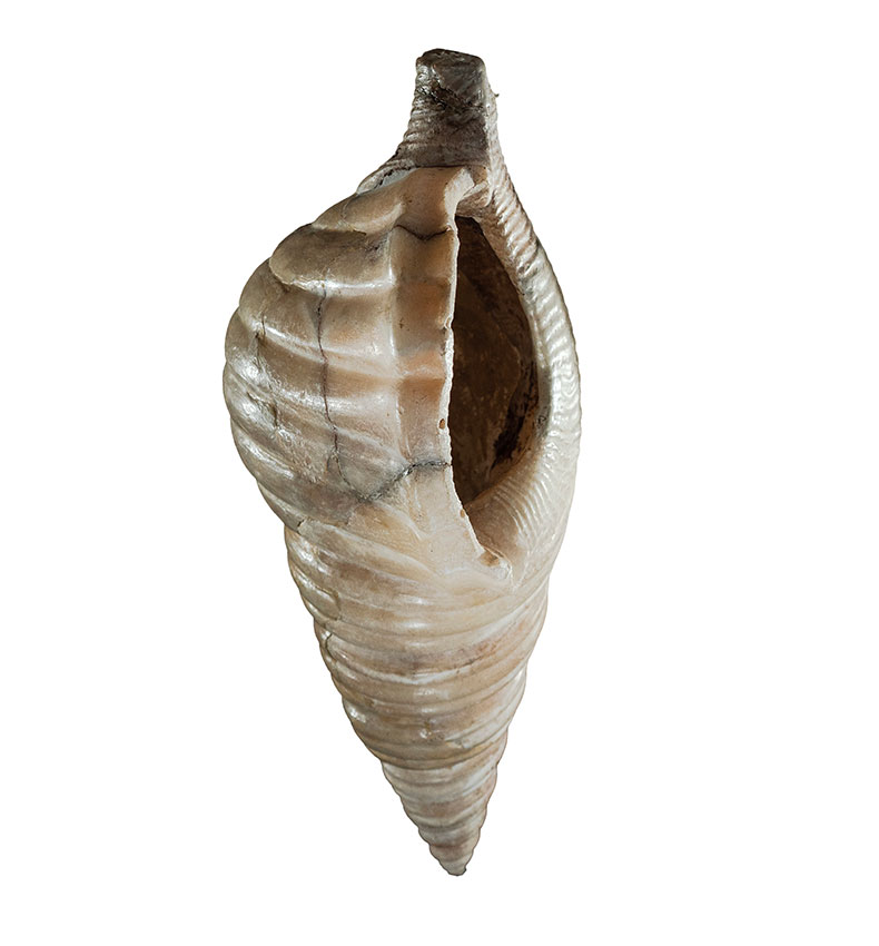 Labyrinth: Knossos, Myth & Reality - Apollo Magazine