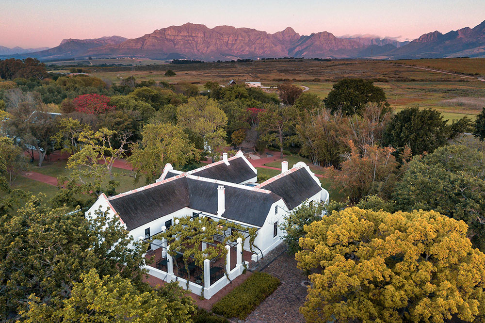 Wine: Spier Wine Farm - In progress | Apollo Magazine