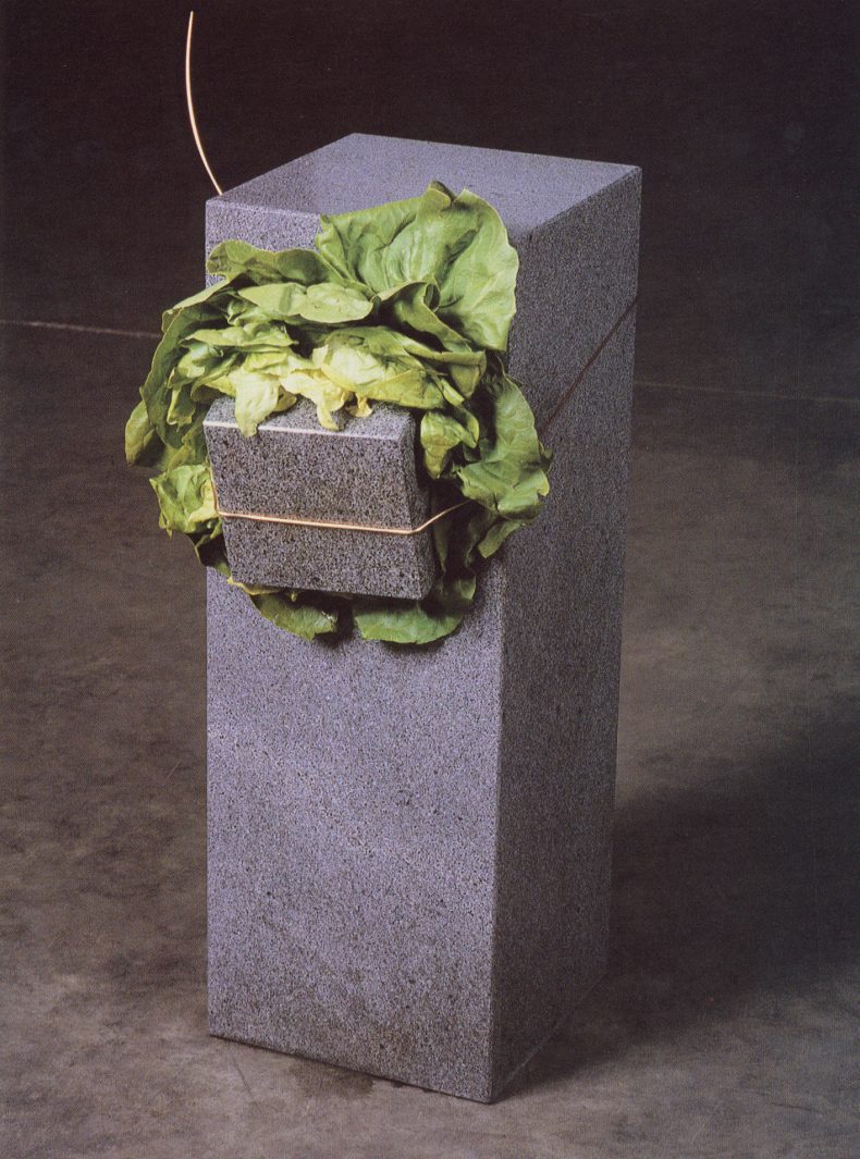 Giovanni Anselmo (1934–2023) | Apollo Magazine