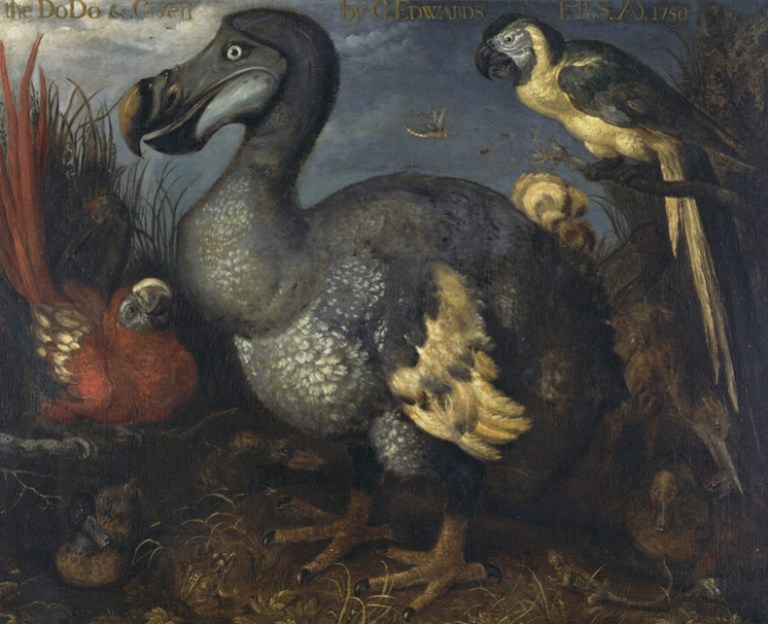 The artists who have come to the defence of the dodo - Apollo Magazine