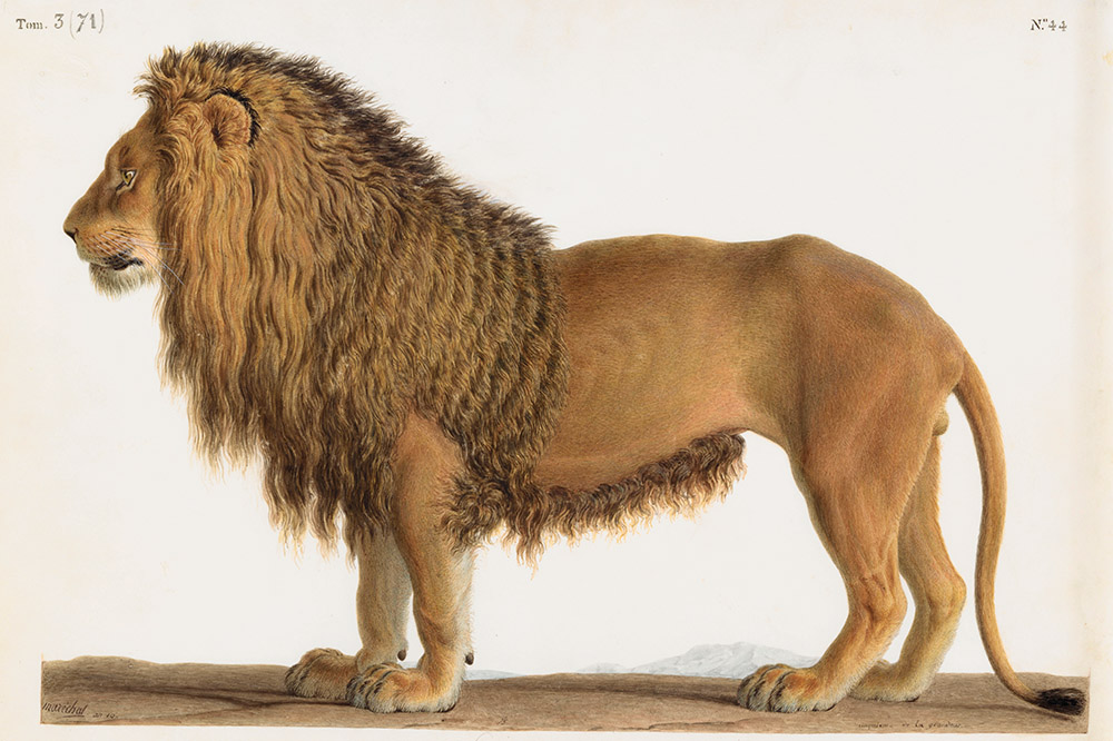 Pride and prejudice in 19th-century France | Apollo Magazine