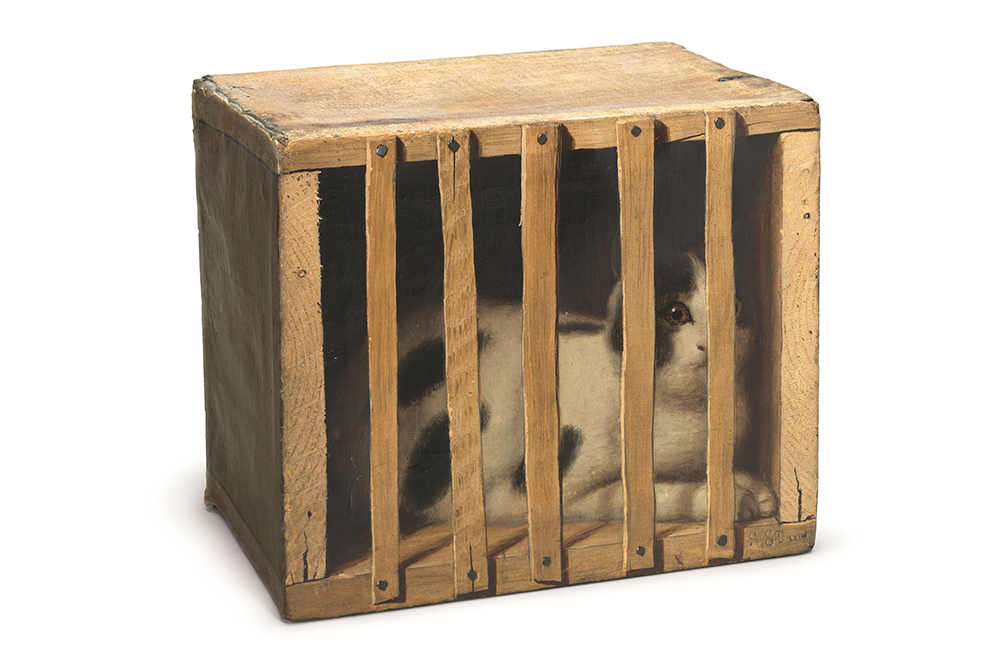 ‘As an image of victimhood, Cat in a Crate beats many a crucifixion ...
