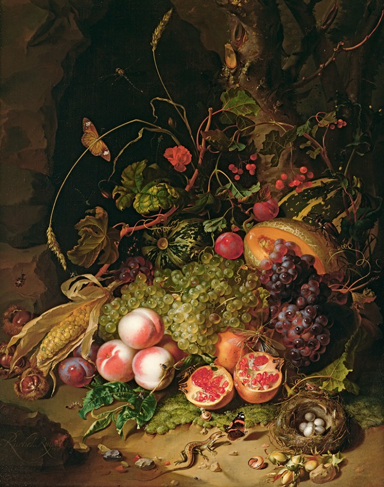Rachel Ruysch: Nature Into Art | Apollo Magazine